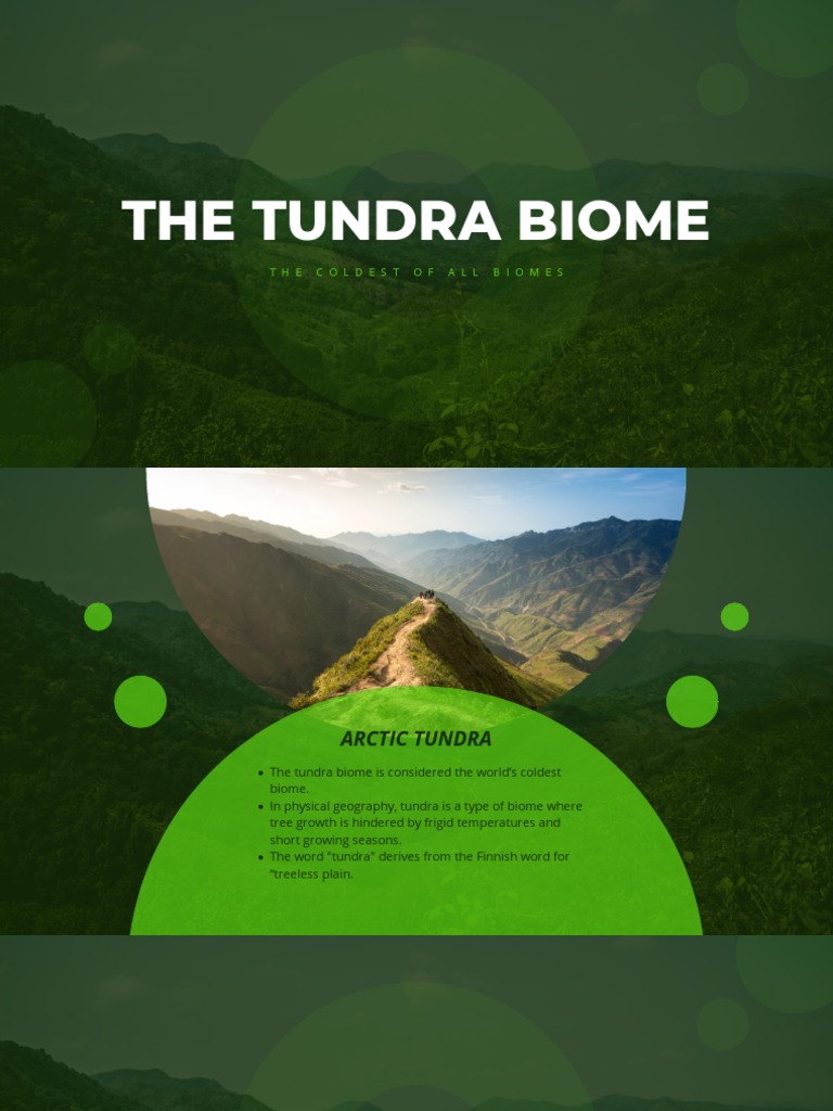 Arctic Tundra Biome: The Coldest Place on Earth | PDF | Arctic ...