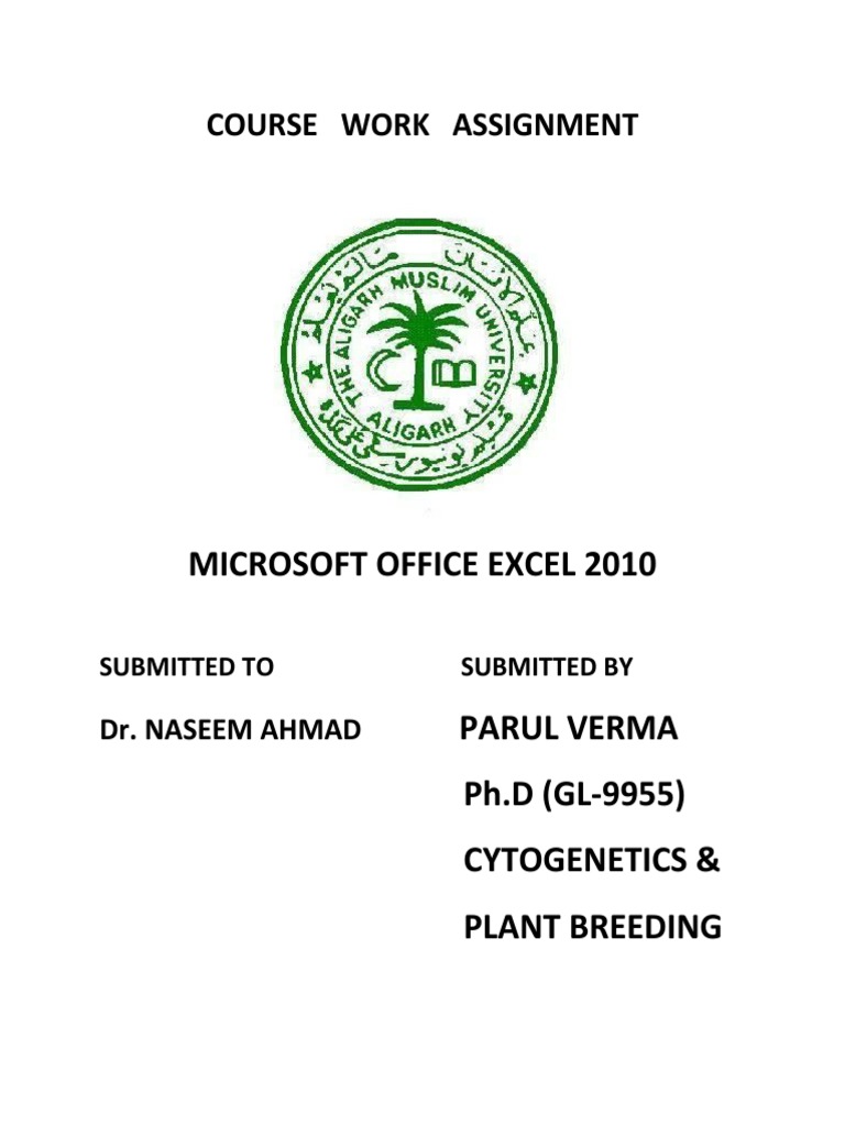 Microsoft Office Excel 2010 Pdf Microsoft Excel Spreadsheet