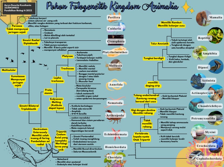 Filogenetik (122 × 91 CM) | PDF