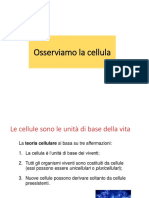 Verifica Sulla Cellula 1B | PDF