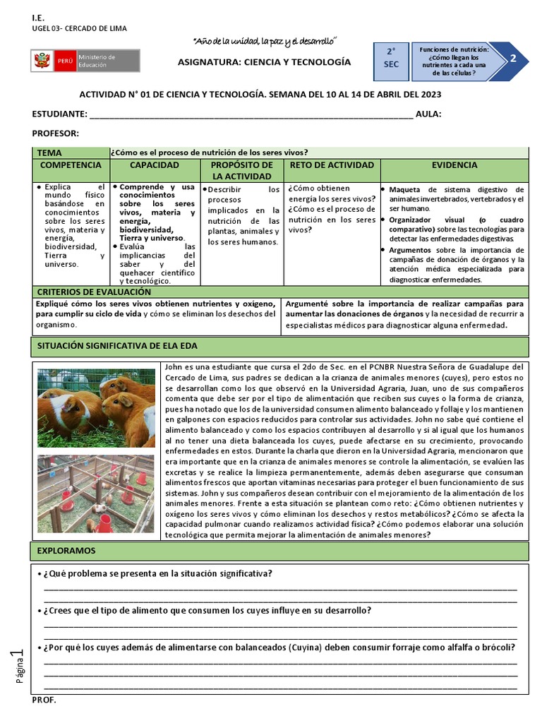 (PDF) 2° SEC. EDA 2 SEMANA 1 Explica CYT 2023 Cómo Es El Proceso de Nutrición de Los Seres Vivos ...