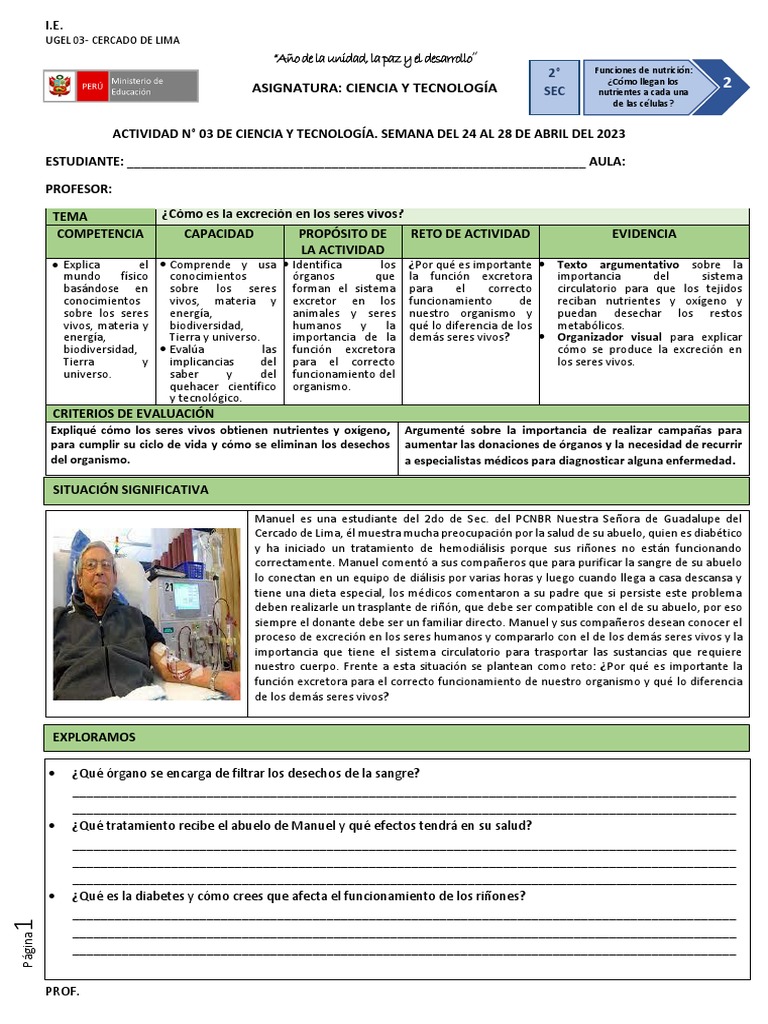 (PDF) 2° SEC. EDA 2 SEMANA 3 Explica CYT 2023 Cómo Es La Excreción en Los Seres Vivos | PDF ...