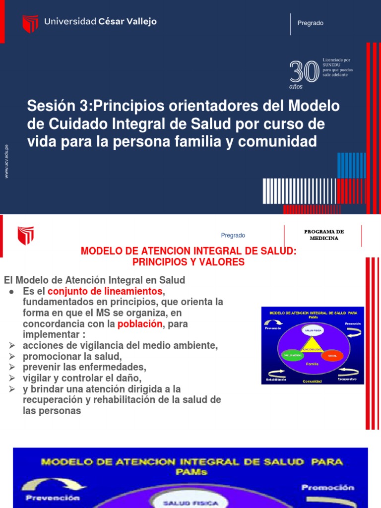 Principios Orientadores Del Modelo De Cuidado Integral De Salud Por