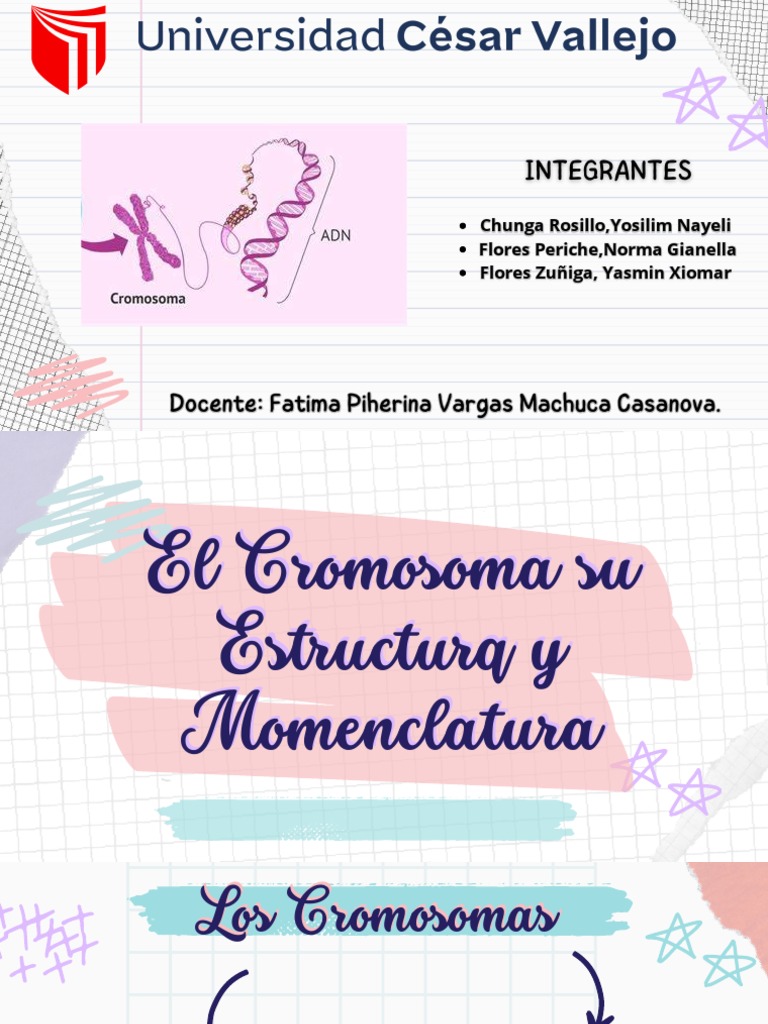 Cromosomas y su nomenclatura | PDF | Cromosoma | Adn