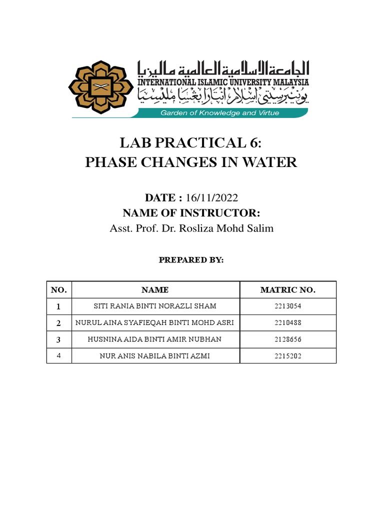 Lab Practical 6 | PDF | Melting Point | Ice