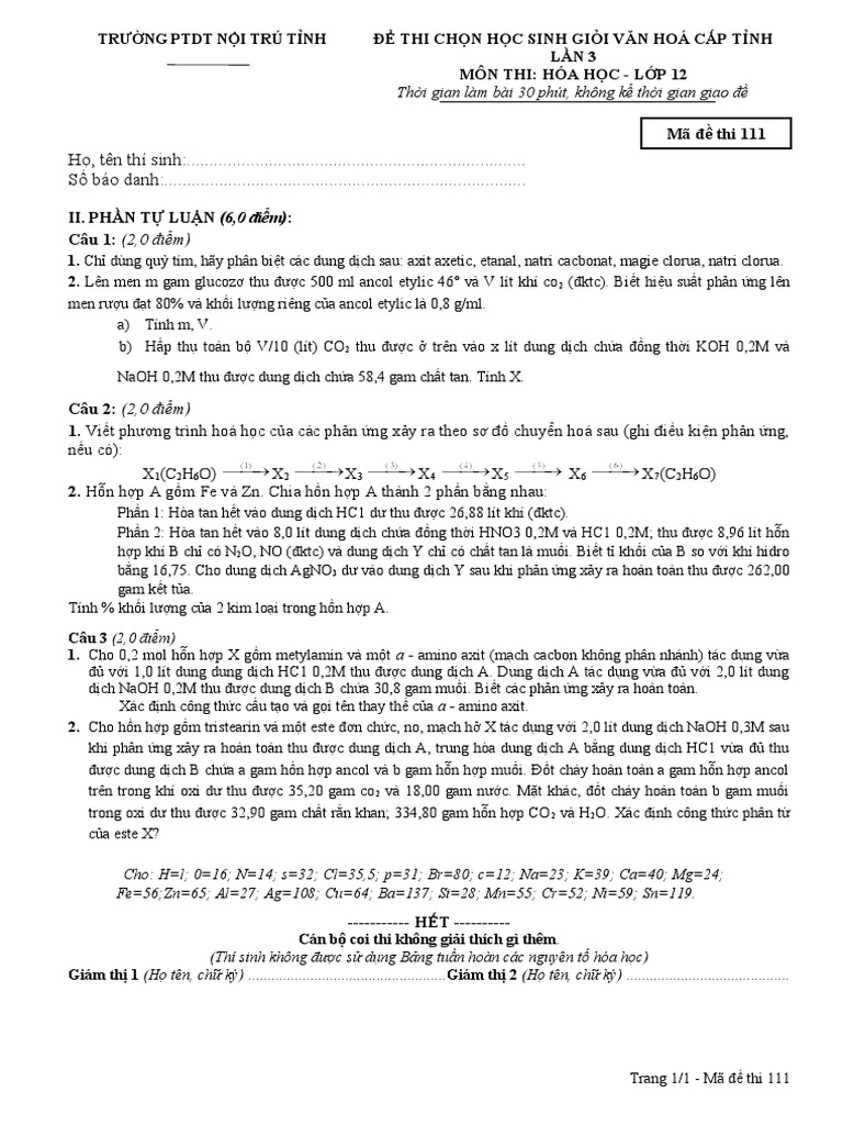 HSG HOA - HH - Thi Thu Lan 3 - TL | PDF