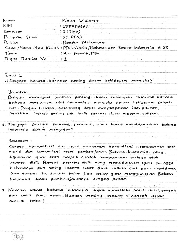 TT1-Bahasa Dan Sastra Indonesia Di SD | PDF