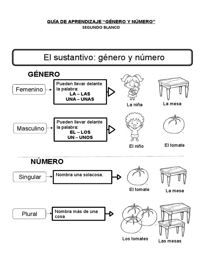 Genero y Numero | PDF