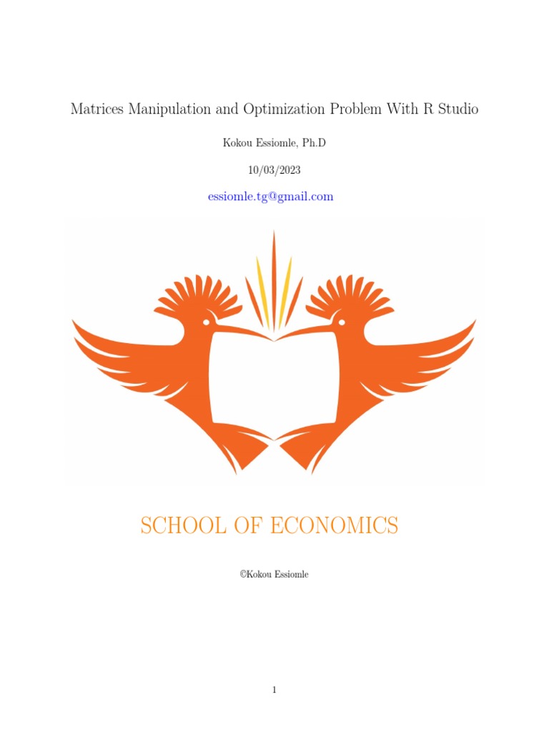 School of Economics: Matrices Manipulation and Optimization Problem With R Studio | PDF | Matrix ...