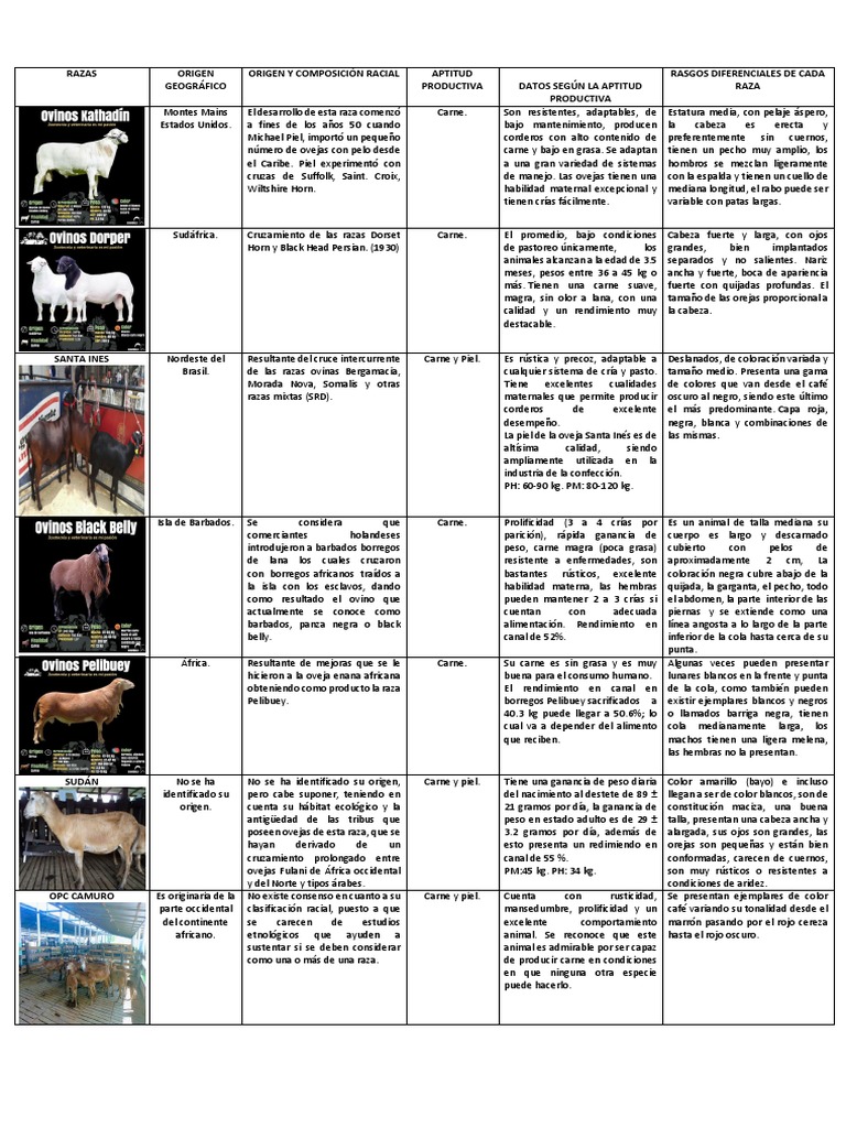 Razas Origen Geográfico Origen Y Composición Racial Aptitud Productiva Datos Según La Aptitud ...