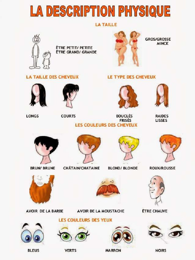 La Description de L'aspect Physique. Les Cheveux | PDF