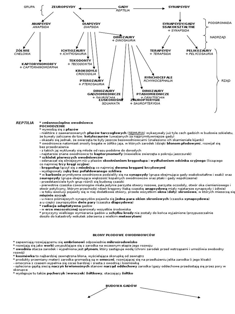Gady | PDF