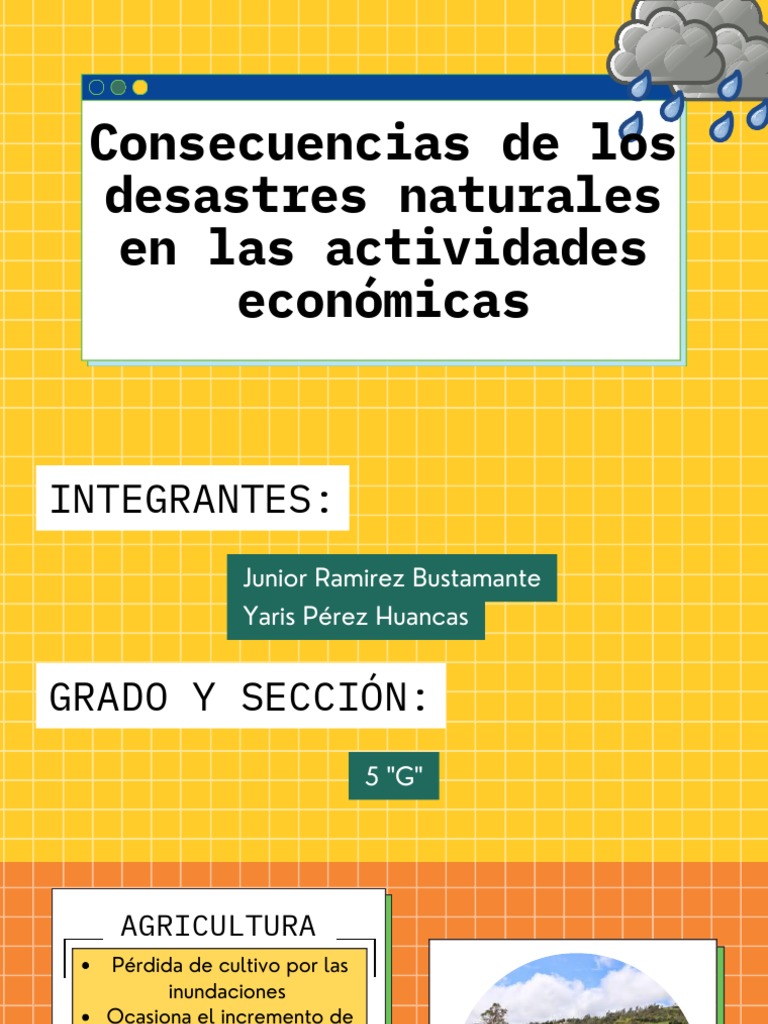 Consecuencias de Los Desastres Naturales en Las Actividades Económicas | PDF
