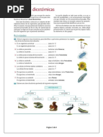 Actividades 5 Taxonomía de Los Seres Vivos | PDF