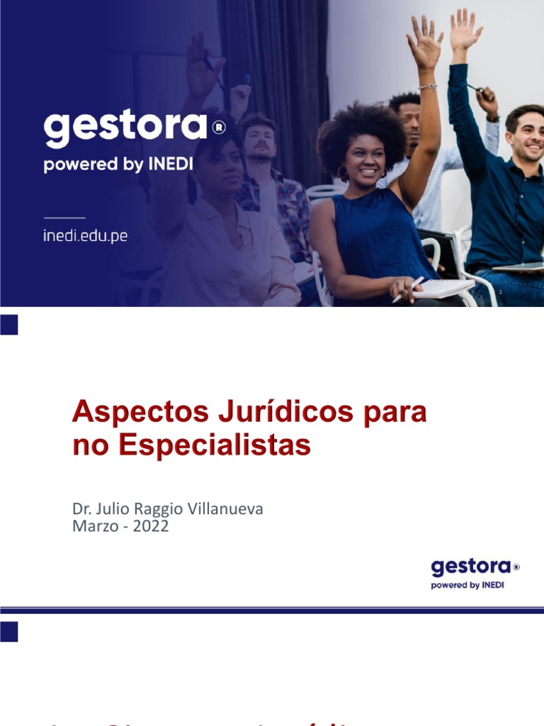 Aspectos Juridicos para No Especialistas | PDF