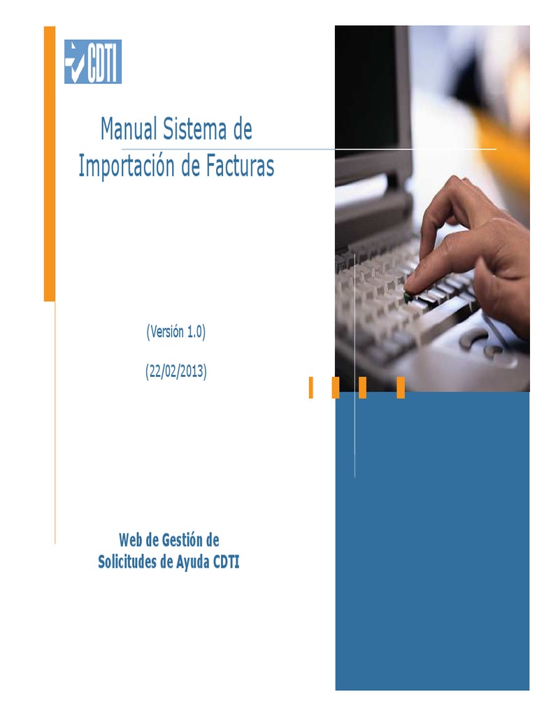 Manual Instrucciones Facturas | PDF