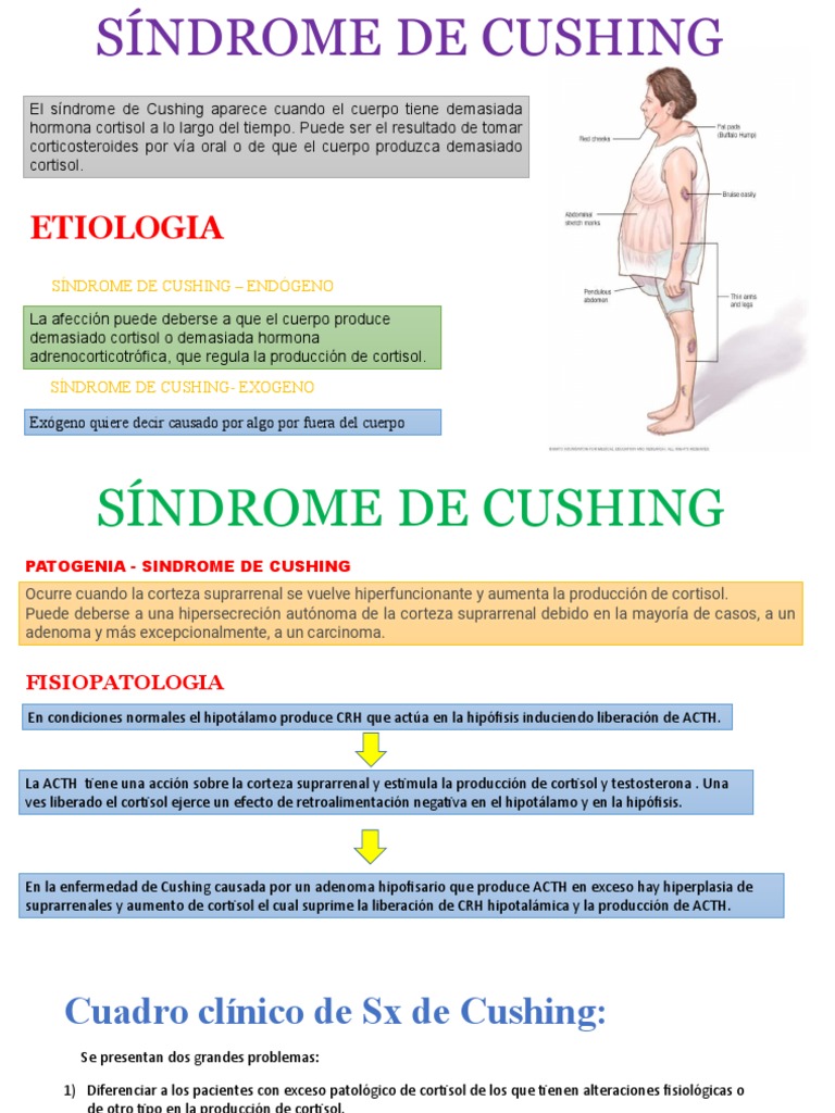 Etiologia: Síndrome de Cushing - Endógeno | PDF | Cortisol | Hormona adrenocorticotrópica