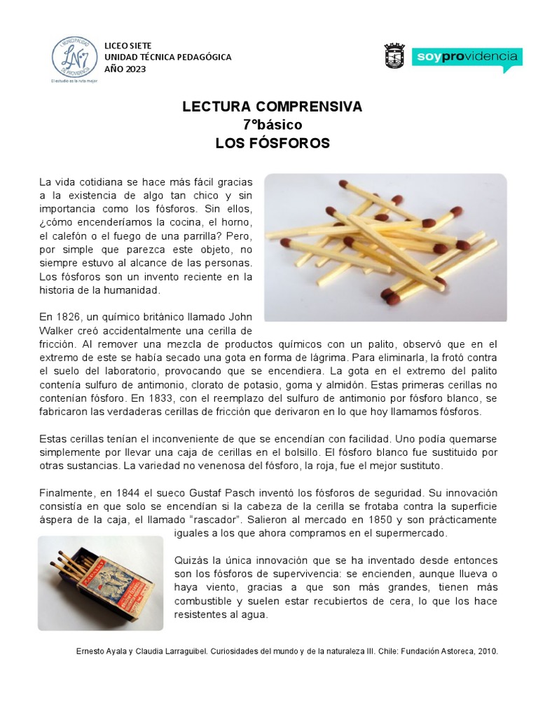 Lectura Comprensiva. Texto y Preguntas. 7°básico | PDF