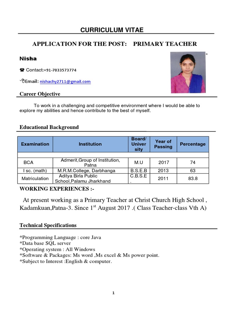 CV Nisha | Download Free PDF | Computing | Software Engineering