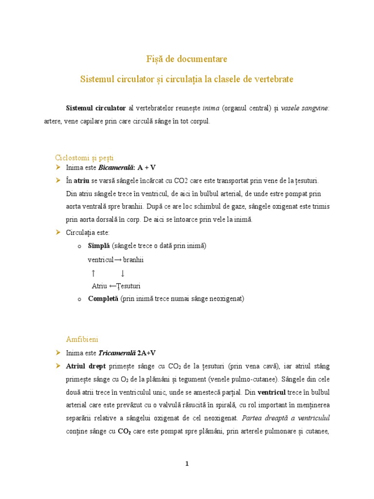 Sistem Circulator | PDF