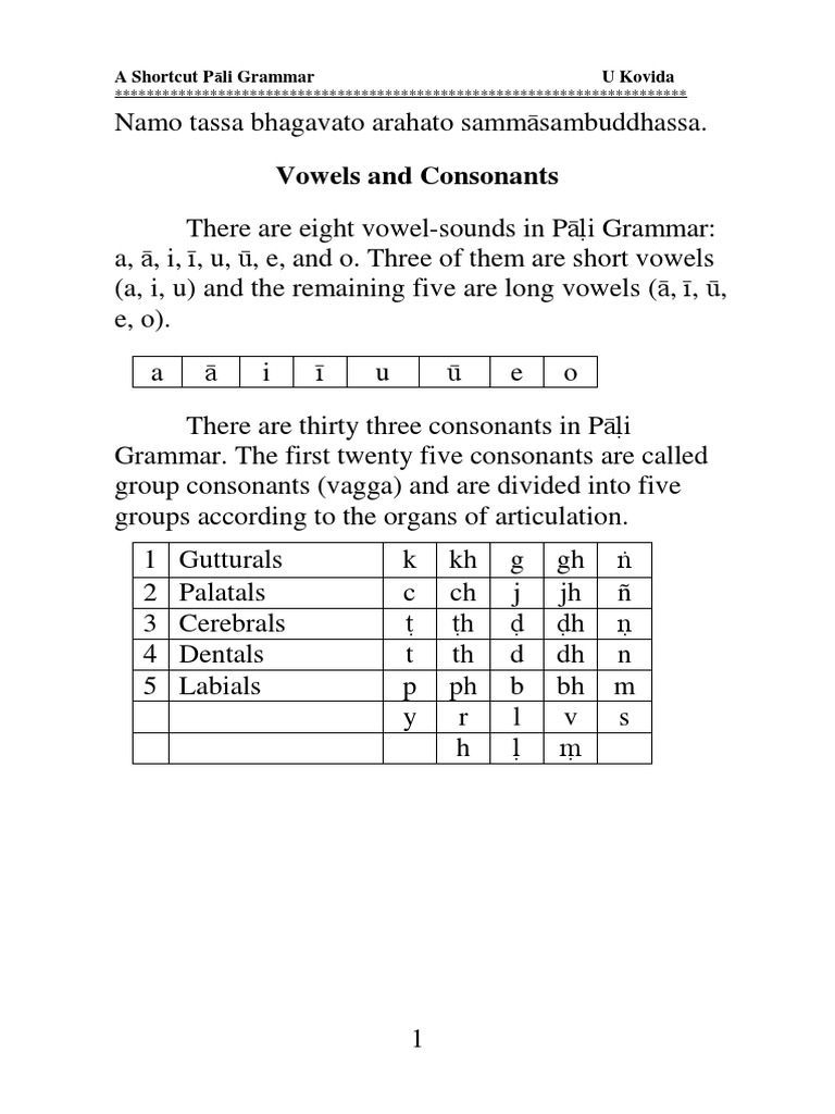 Pāli Grammar Essentials: Vowels, Nouns, Cases | PDF | Grammatical ...