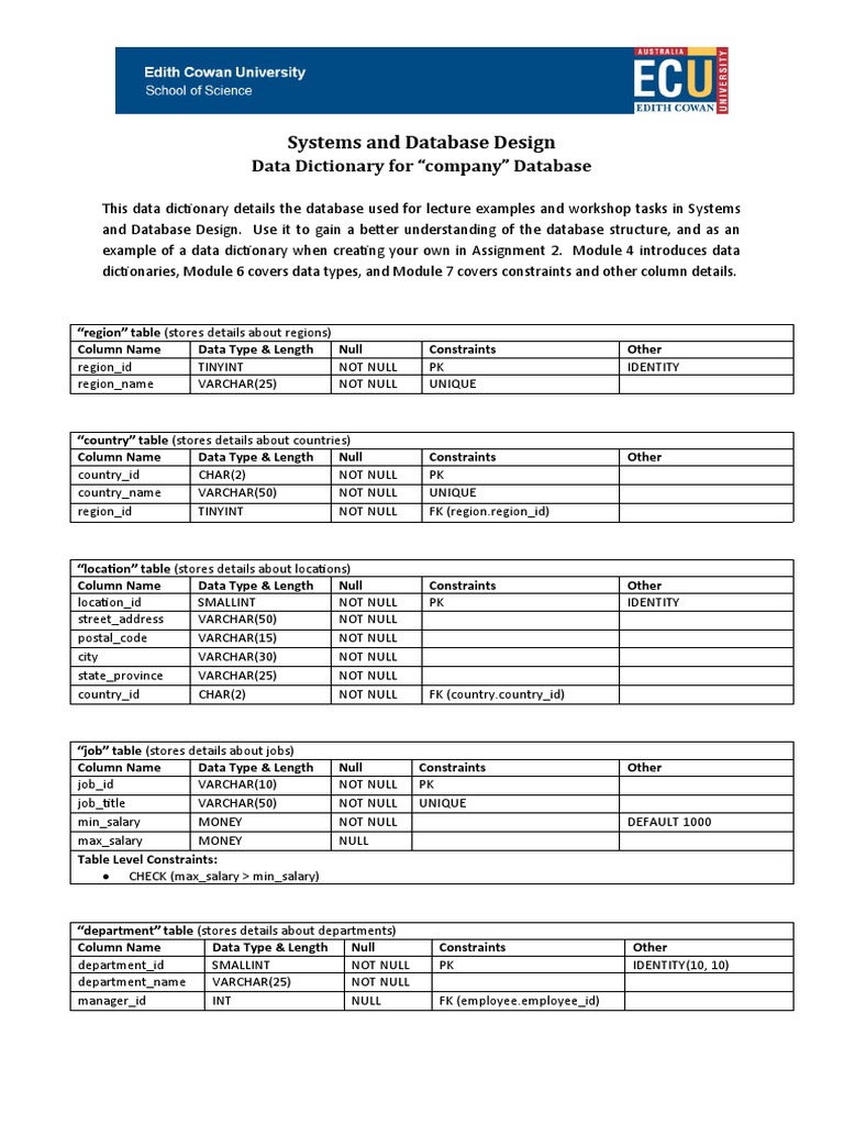 SDD_-_Company_Data_Dictionary | PDF | Databases | Data Management