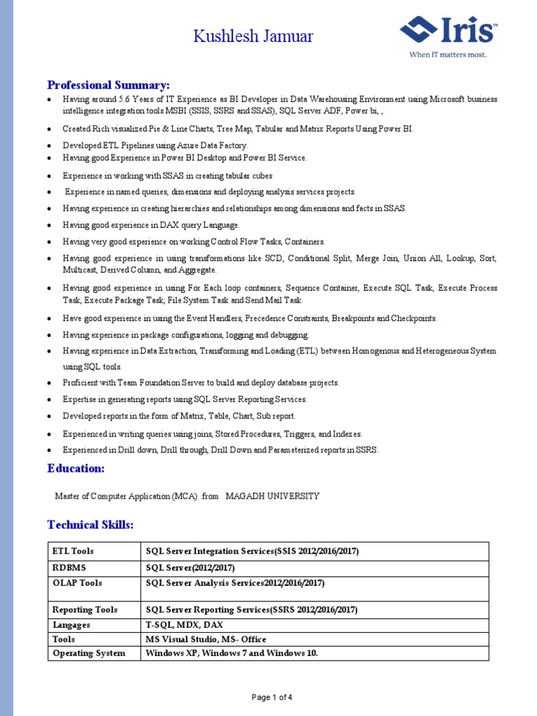Kushlesh Jamuar's Professional Summary and Experience as a BI Developer | PDF | Microsoft Sql ...