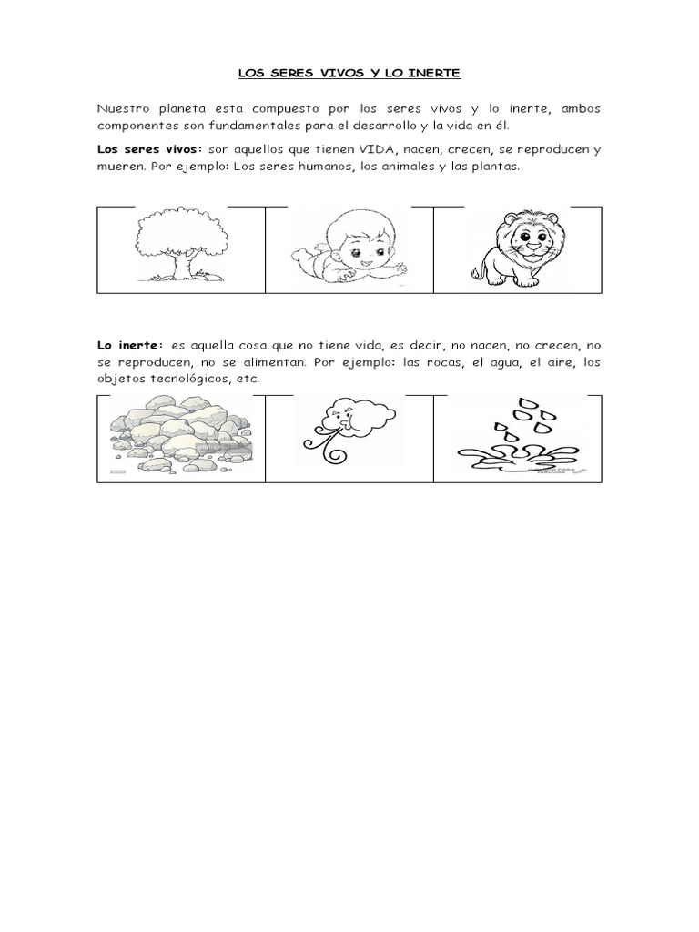 Seres Vivos y Elementos Inertes | PDF