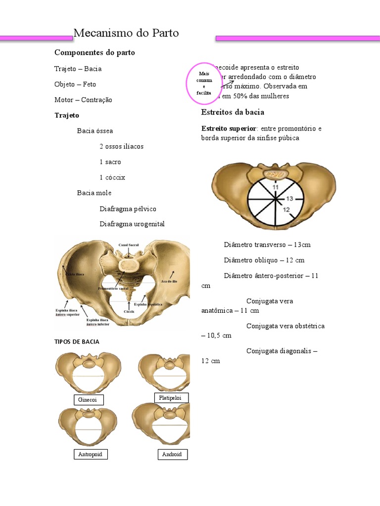 Mecanismo Do Parto | PDF | Pélvis | Parto