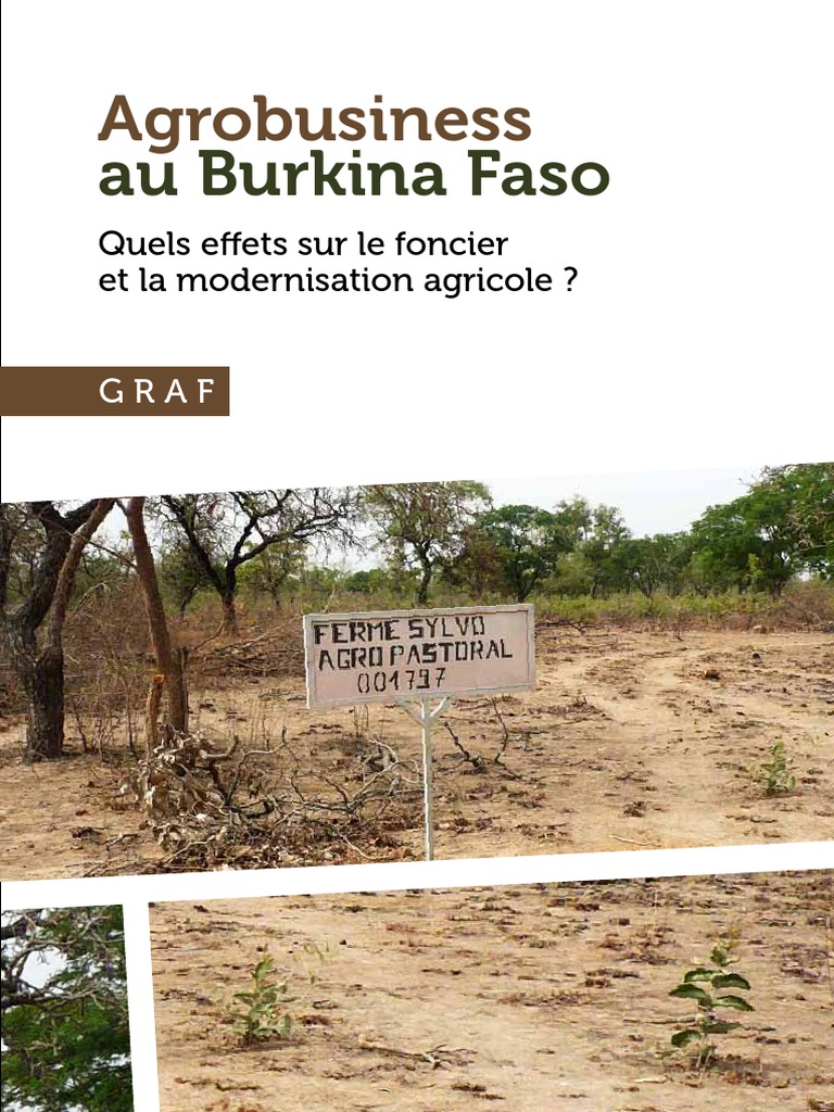 252 Agrobusiness Burkina - Graf | PDF | Agriculture | Burkina Faso