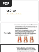 Anatomia da Região Glútea: Estruturas e Funções | PDF | Anatomia dos ...