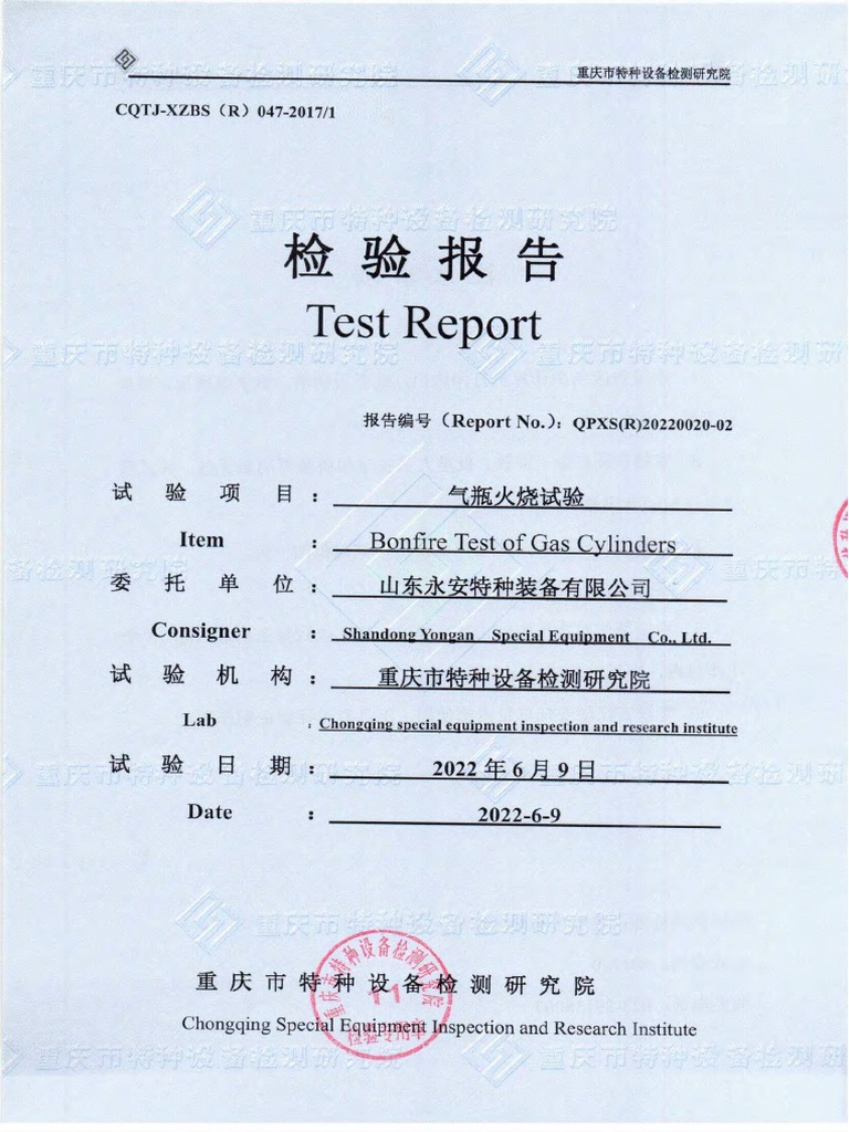 Bonfire Test 325mm | PDF