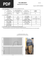安全閥測試報告表 | PDF