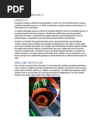 MOLDE - Rueda de La Fortuna Con Fotos | PDF