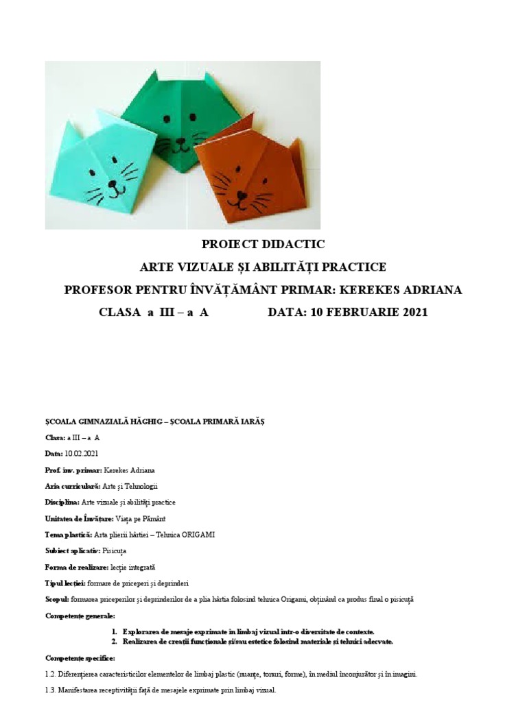 15 Proiect de Lectie Avap | PDF