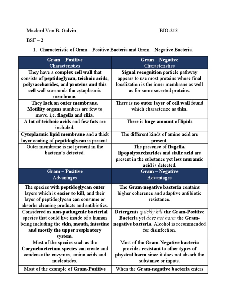 Gram Positive and Gram Negative | PDF | Gram Positive Bacteria | Bacteria
