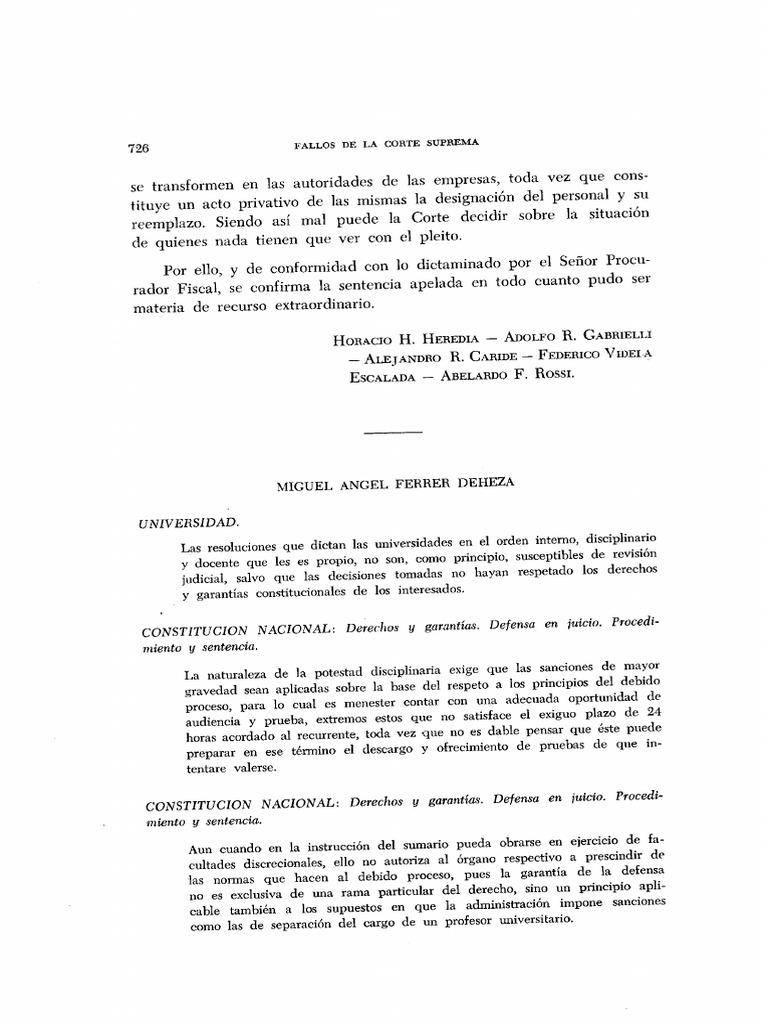 Ferrer Deheza, Miguel Ángel | PDF