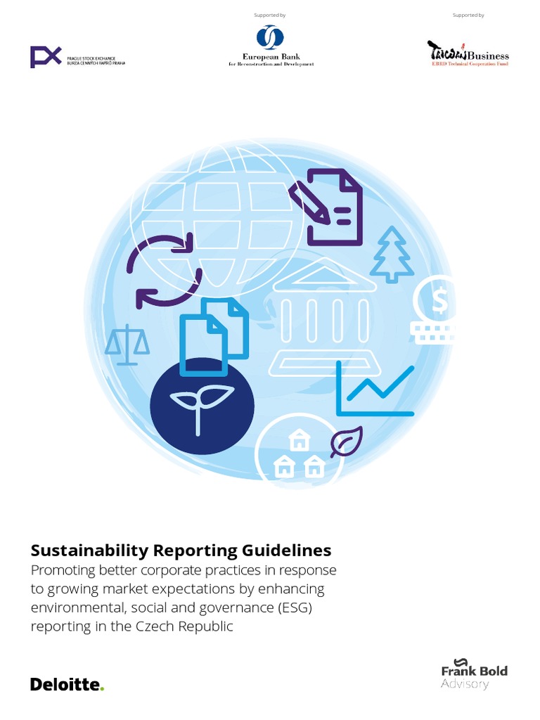Esg Guidelines Pdf Sustainability European Union