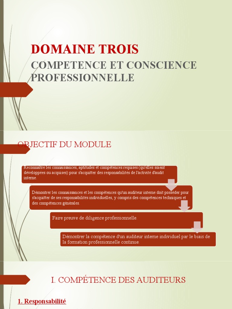Compétence Et Conscience Professionnelle | PDF | Audit | Audit interne