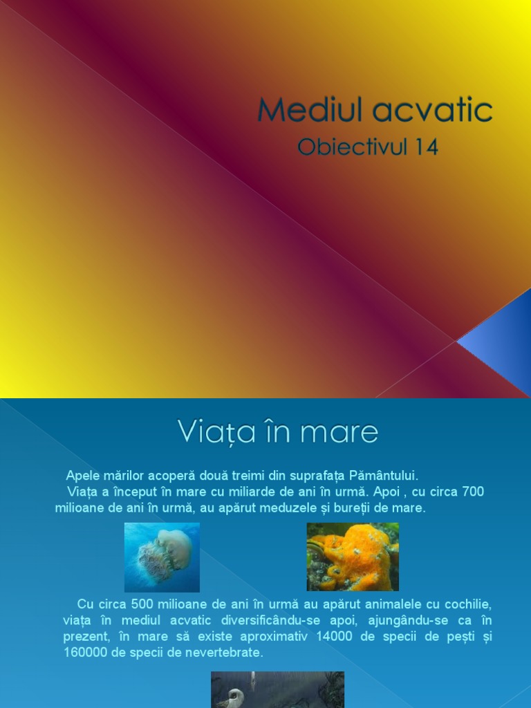 Modul Acvatic Sîrbu Daniela | PDF