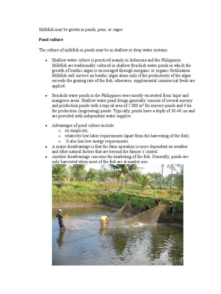 Methods and Considerations for Milkfish Aquaculture: Pond Culture, Pen Culture, and Cage Culture ...