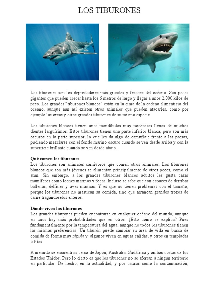 Los Tiburones | PDF | Ciencias sociales