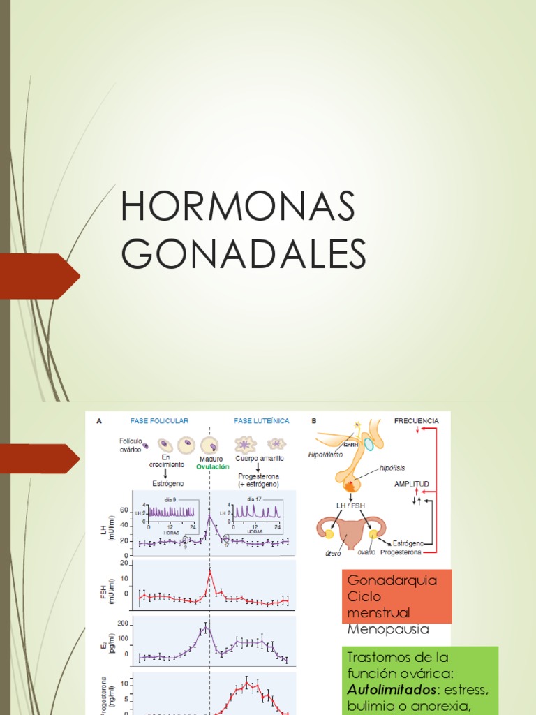 Hormonas Gonadales | PDF | Estrógeno | Progesterona