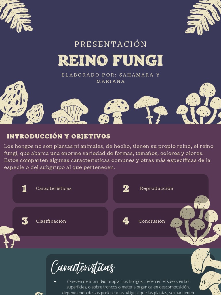 Presentación: Reino Fungi | PDF | Hongo | Plantas