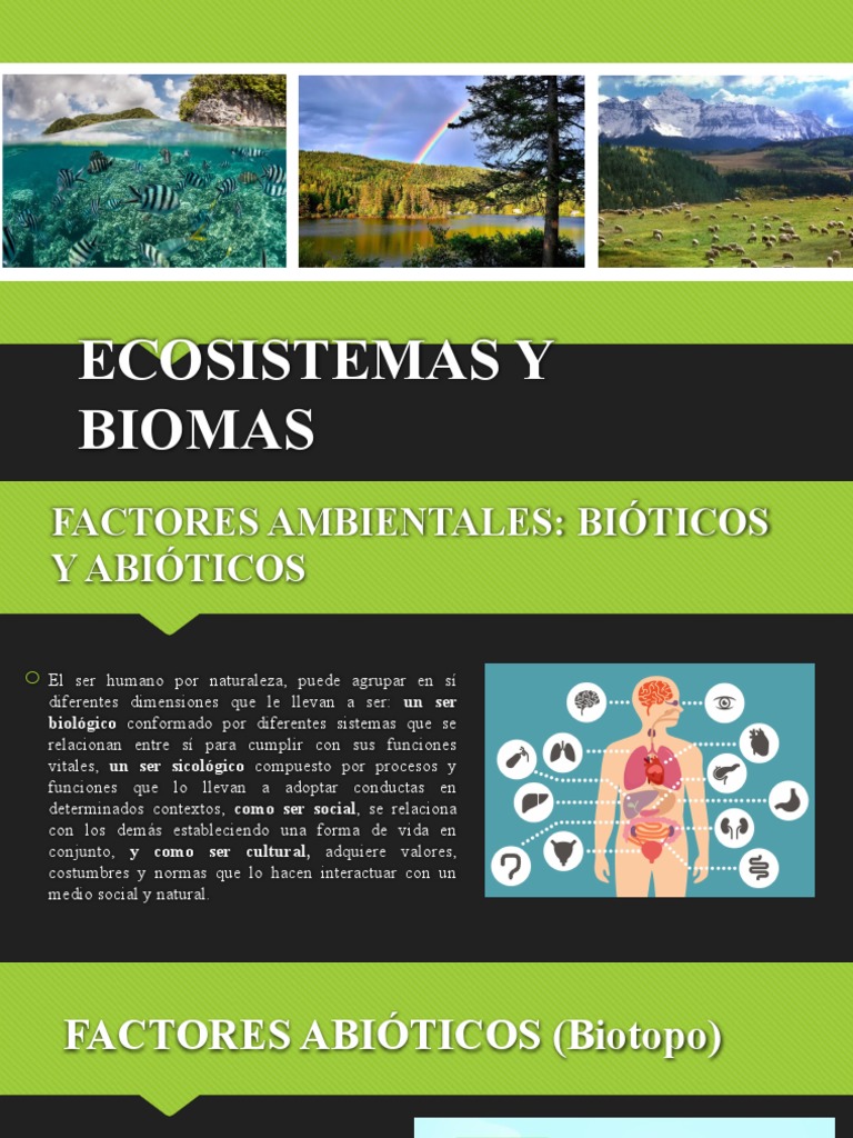 Ecosistemas y Biomas | PDF | Ecosistema | Organismos