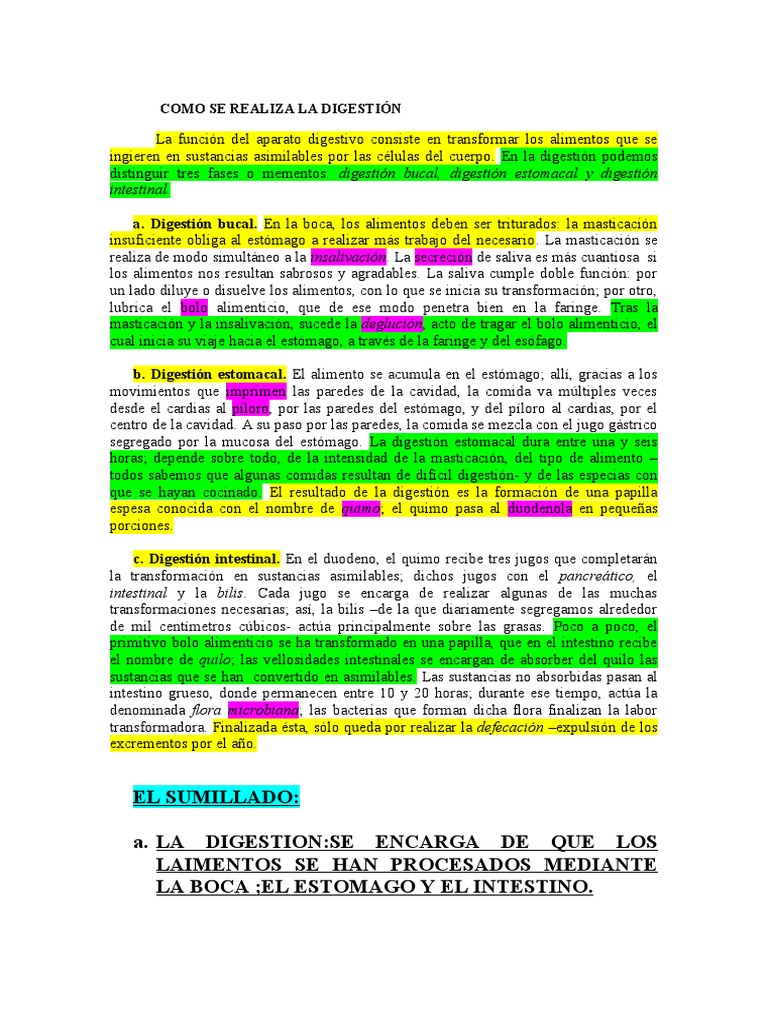 SUMILLADO | PDF | Digestión | Estómago