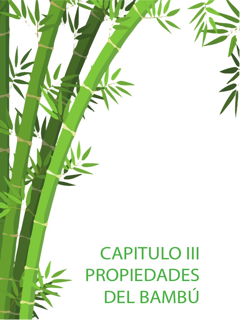 Propiedades y Cosecha del Bambú | PDF | Tallo de la planta | Perforar