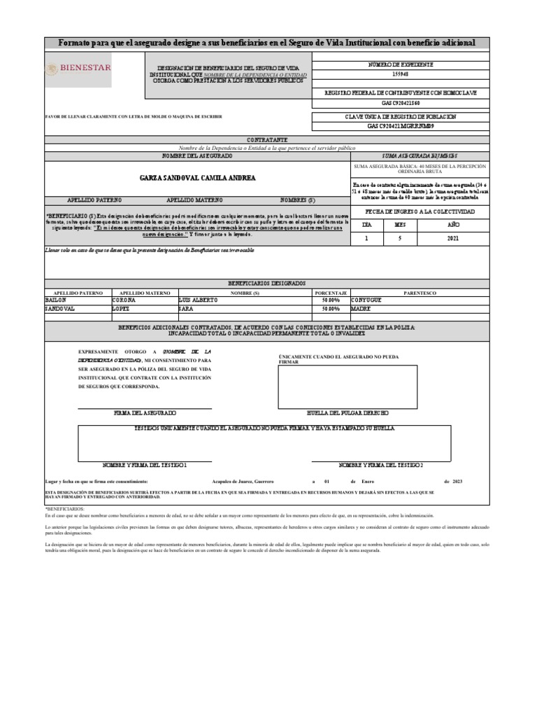 Formato de Designación de Beneficiarios Del Seguro de Vida Institucional | PDF | Seguro de vida ...
