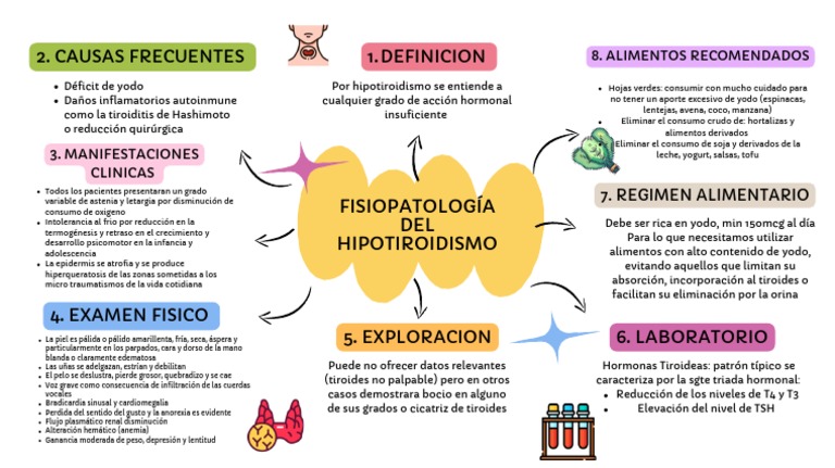 fisiopatología del hipotiroidismo | PDF | Tiroides | Hipotiroidismo