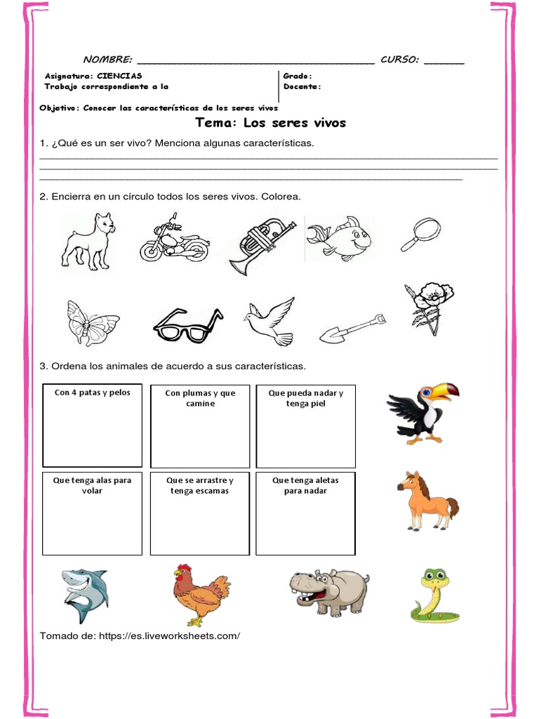 Guia Ciencias Seres Vivos 1 | PDF